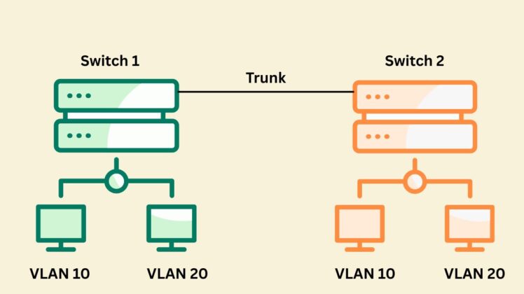 What Is VLAN Trunking? How It Works, Advantages & Protocols
