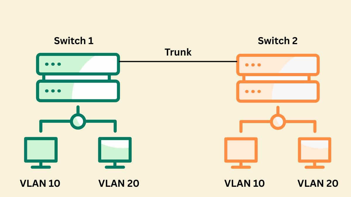What Is VLAN Trunking? How It Works, Advantages & Protocols
