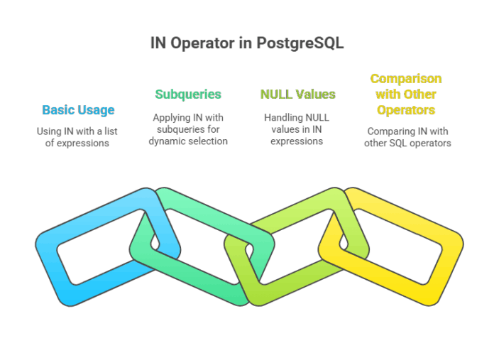 What Is IN Operator in PostgreSQL With Code Example
