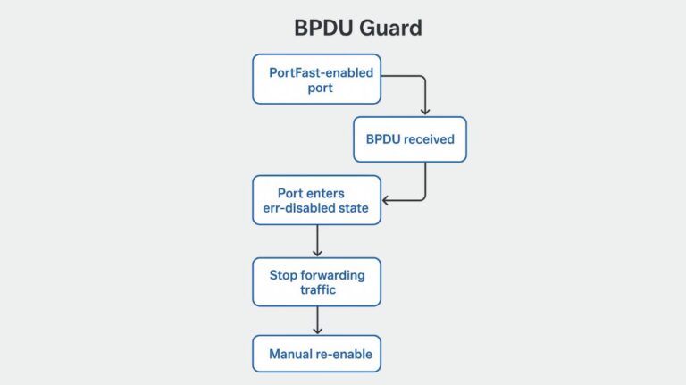 Cisco Switch BPDU Guard Configuration In Networking