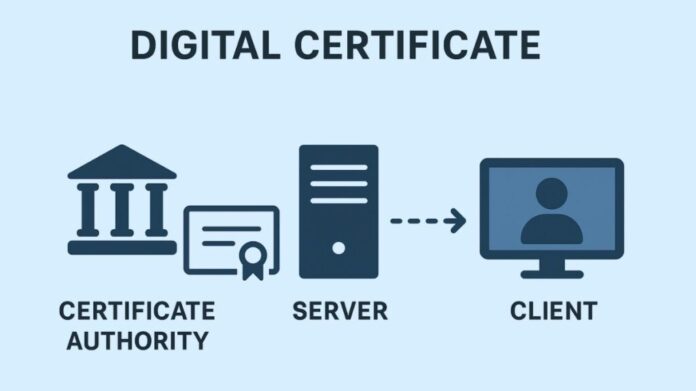 Components of Digital Certificate, How it Works and Benefits