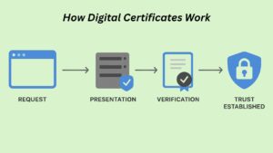Components of Digital Certificate, How it Works and Benefits