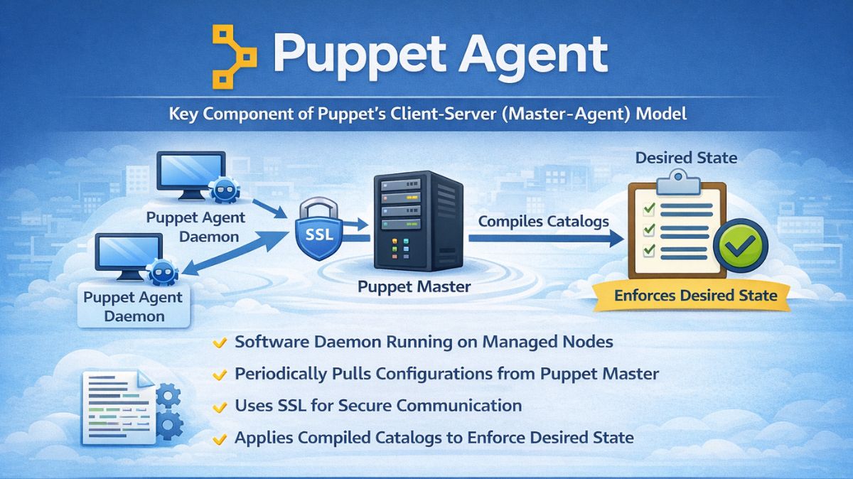 What Is Puppet Agent In CCNA And Puppet Architecture